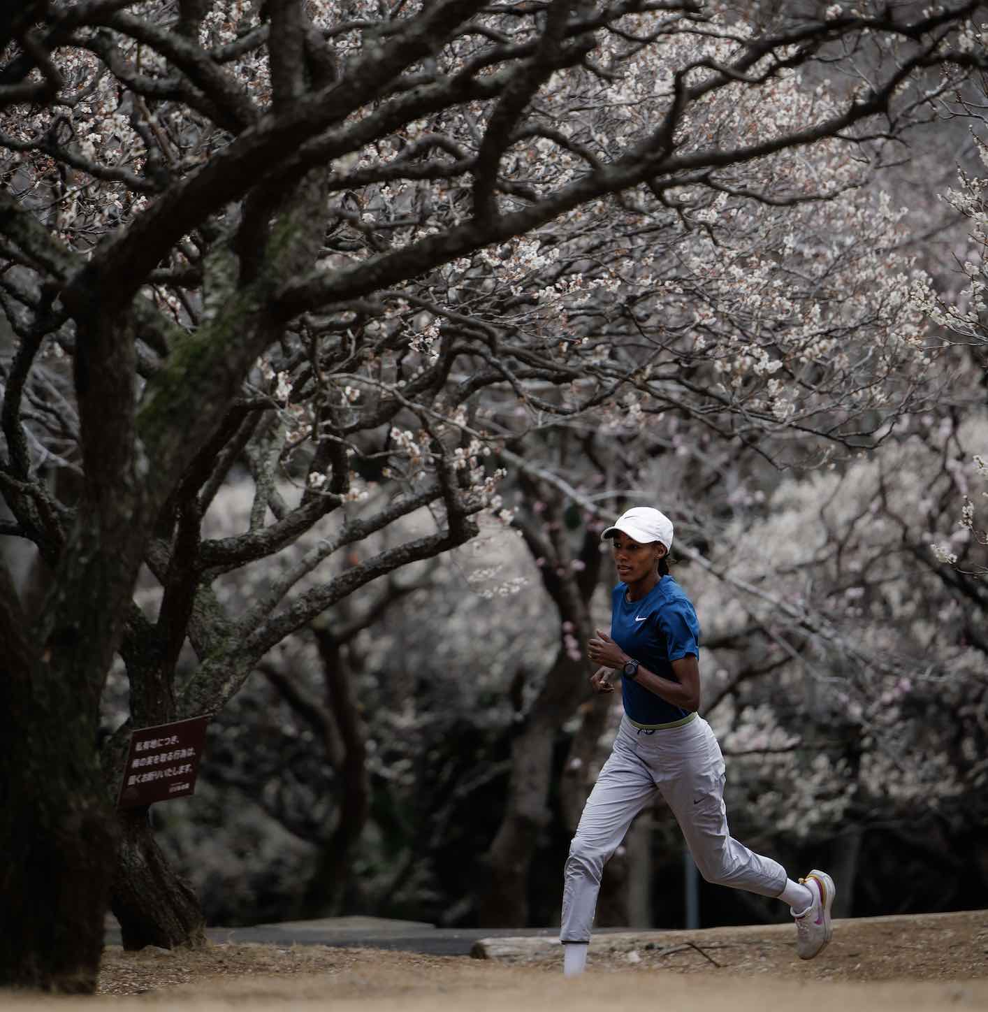 Sifan Hassan, the Complete RunBlogRun Interview , speaks on her running ...